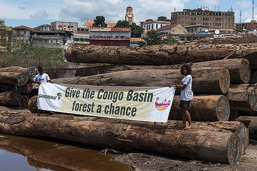 5 Points to Understand Congo’s Logging Moratorium - Greenpeace Africa