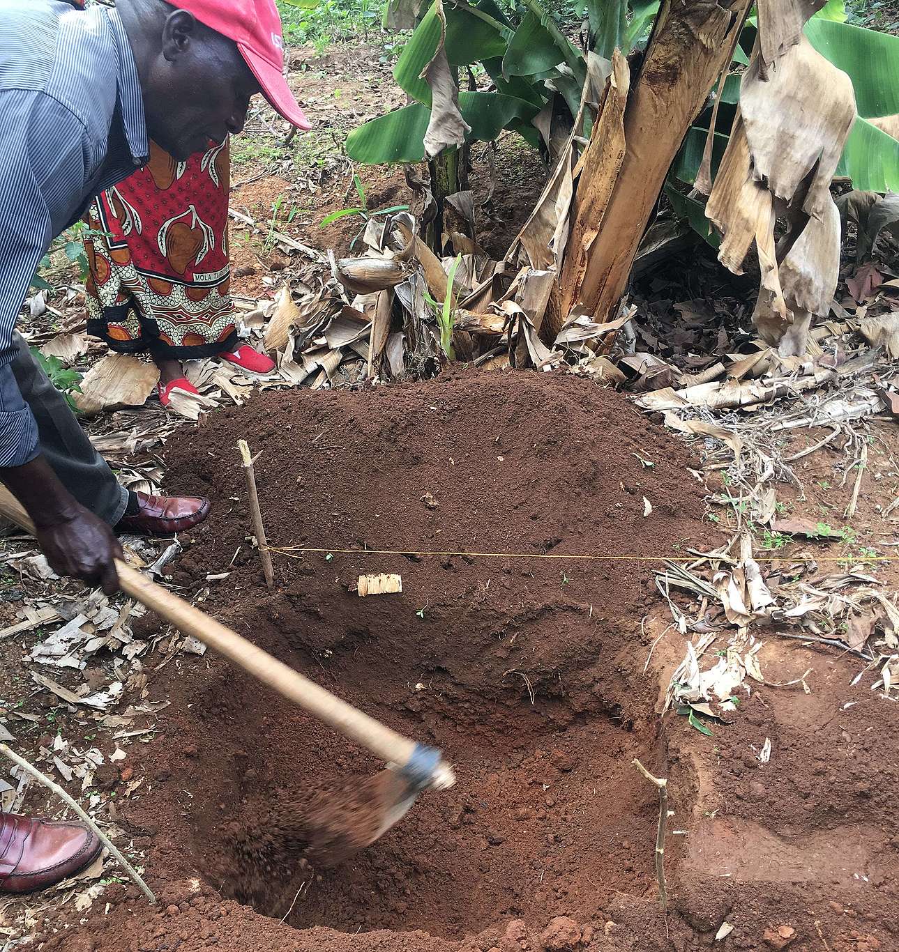 Using Zai pits to harvest scanty rain water - Greenpeace Africa