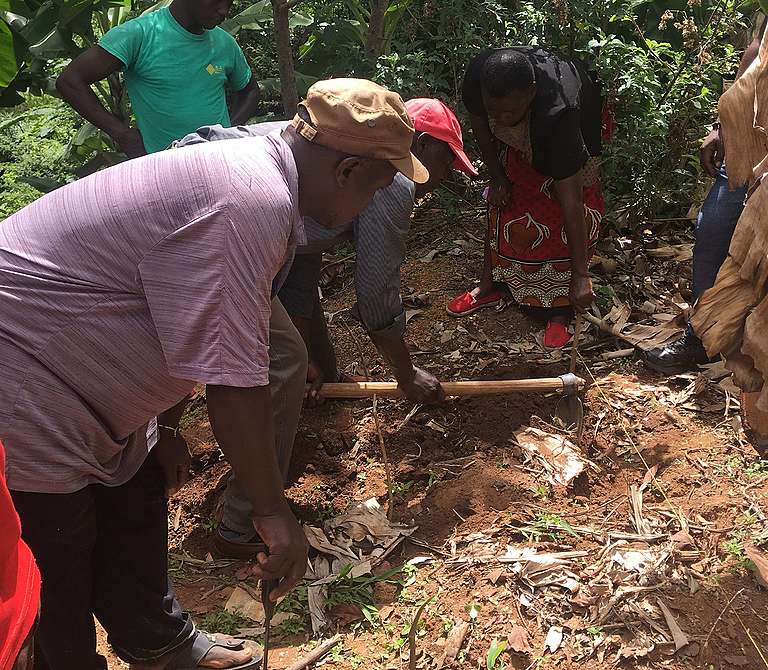 Using Zai pits to harvest scanty rain water - Greenpeace Africa