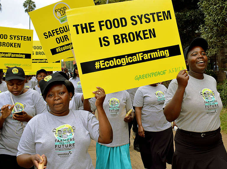 Ecological farming will address food insecurity, not GMOs - Greenpeace ...
