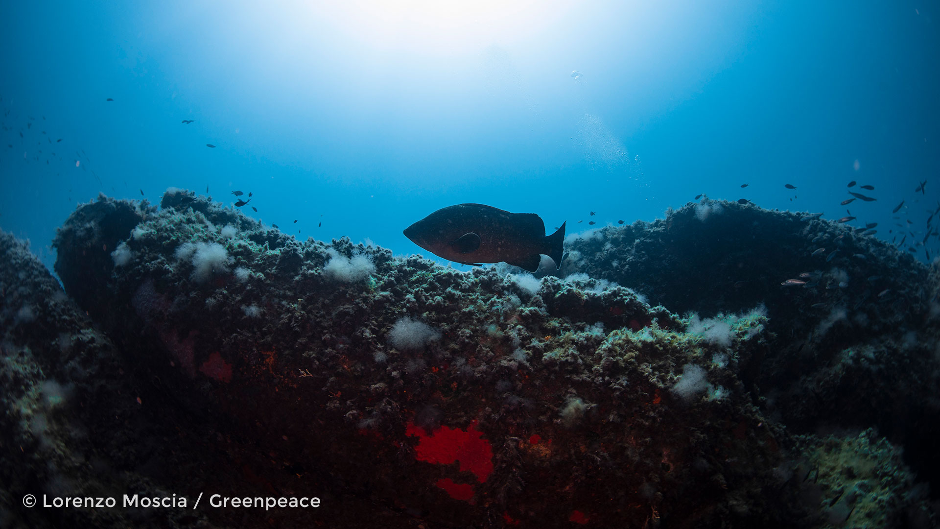 There are enormous mountains under the sea. Here are five things you ...