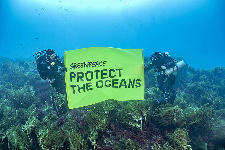 Protect the Oceans - Greenpeace Africa