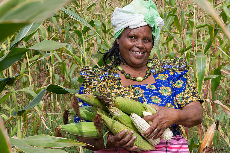 How To Guide 1: Ecological Farming – definition, principles and ...