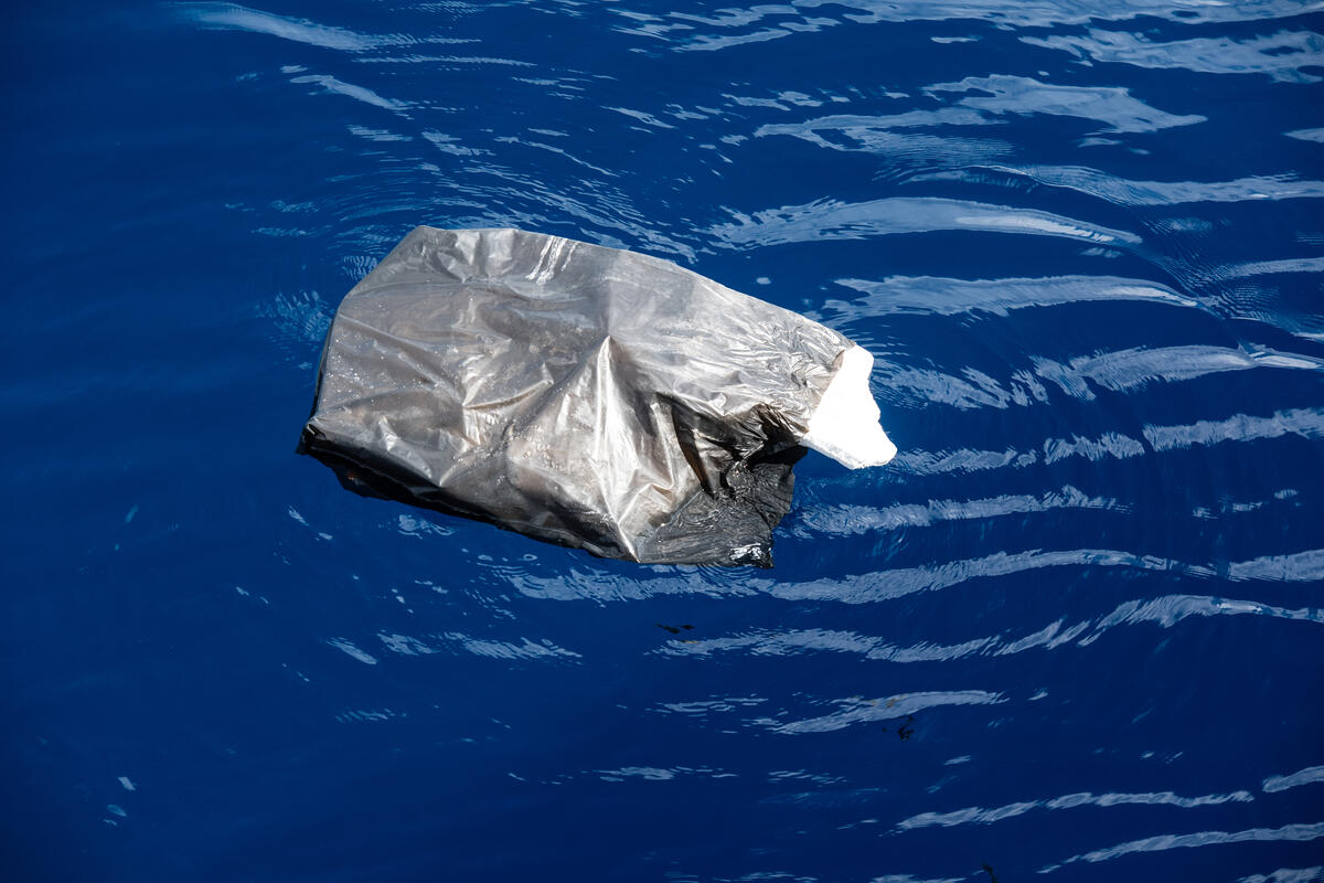 15 Indian Ocean Facts in 2023: Its Importance and The Threats It Faces ...
