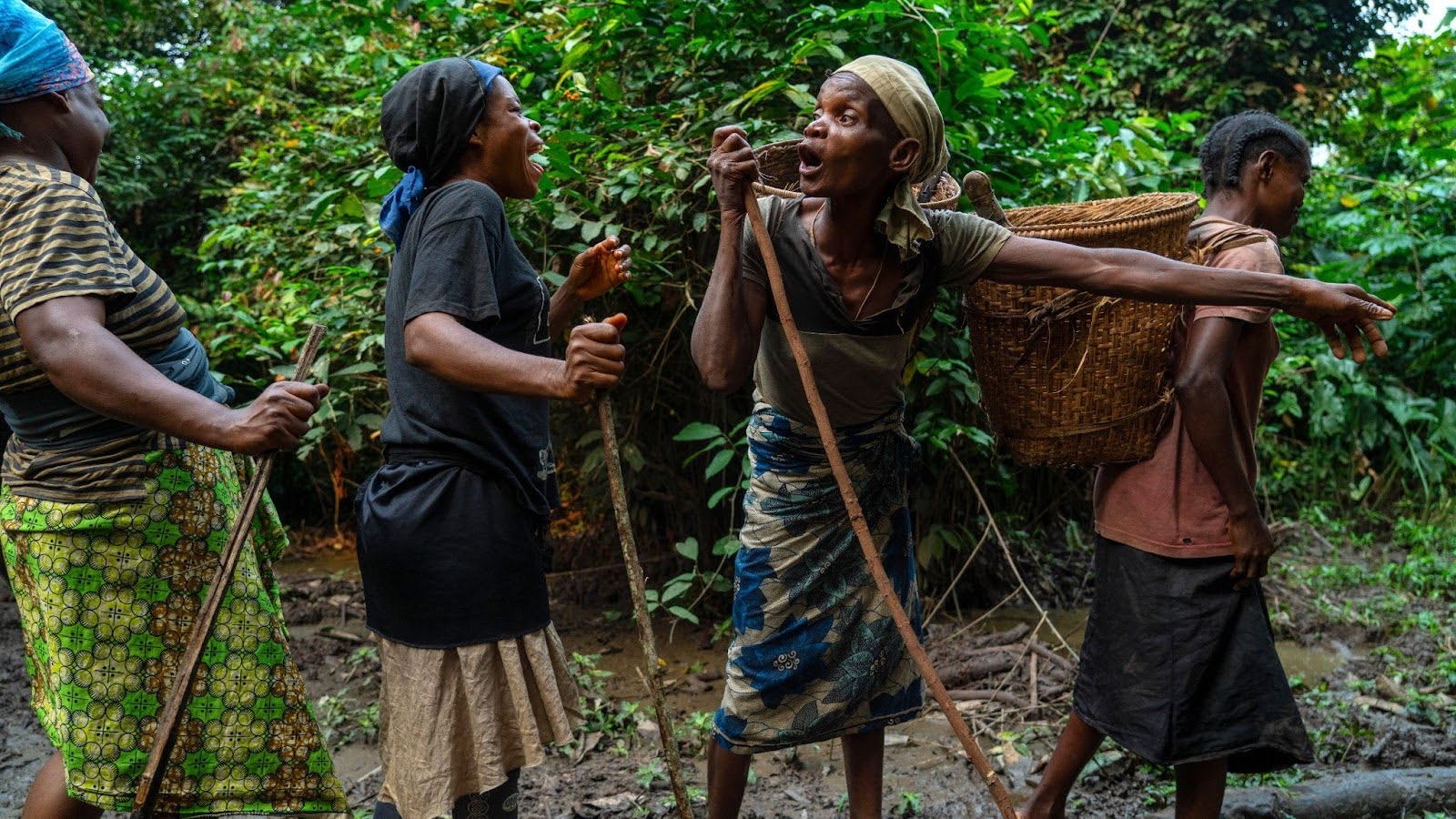 Travel diary from the heart of the Congo Basin: voices and hopes of ...