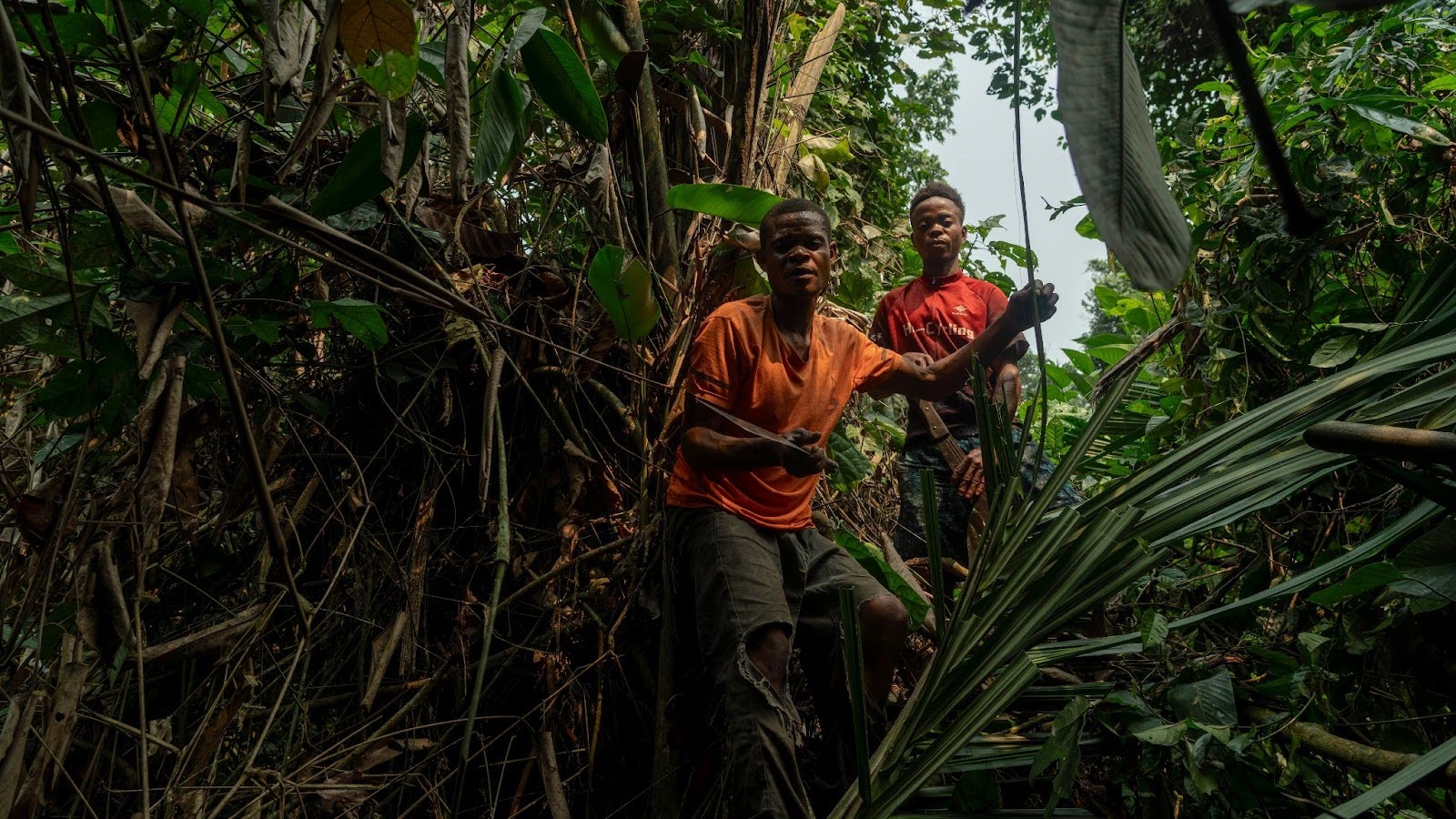 Travel diary from the heart of the Congo Basin: voices and hopes of ...
