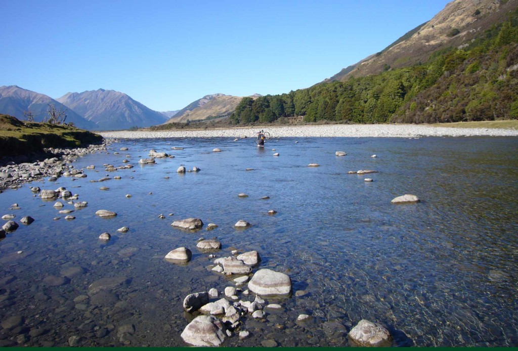 Water pollution in New Zealand - Greenpeace Aotearoa
