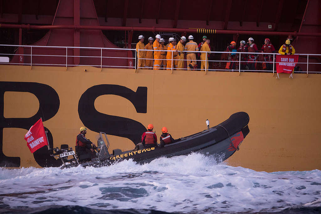 My tears aren’t enough to protect the rainforest. That’s why I’m taking ...