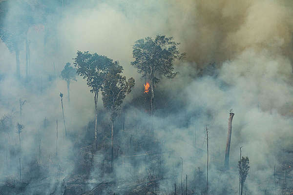 How deforestation is pushing the Amazon to a climate tipping point ...