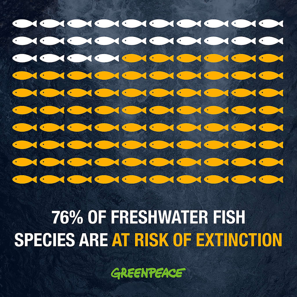 Greenpeace calls on Govt to back farmers with $1 billion regenerative ...