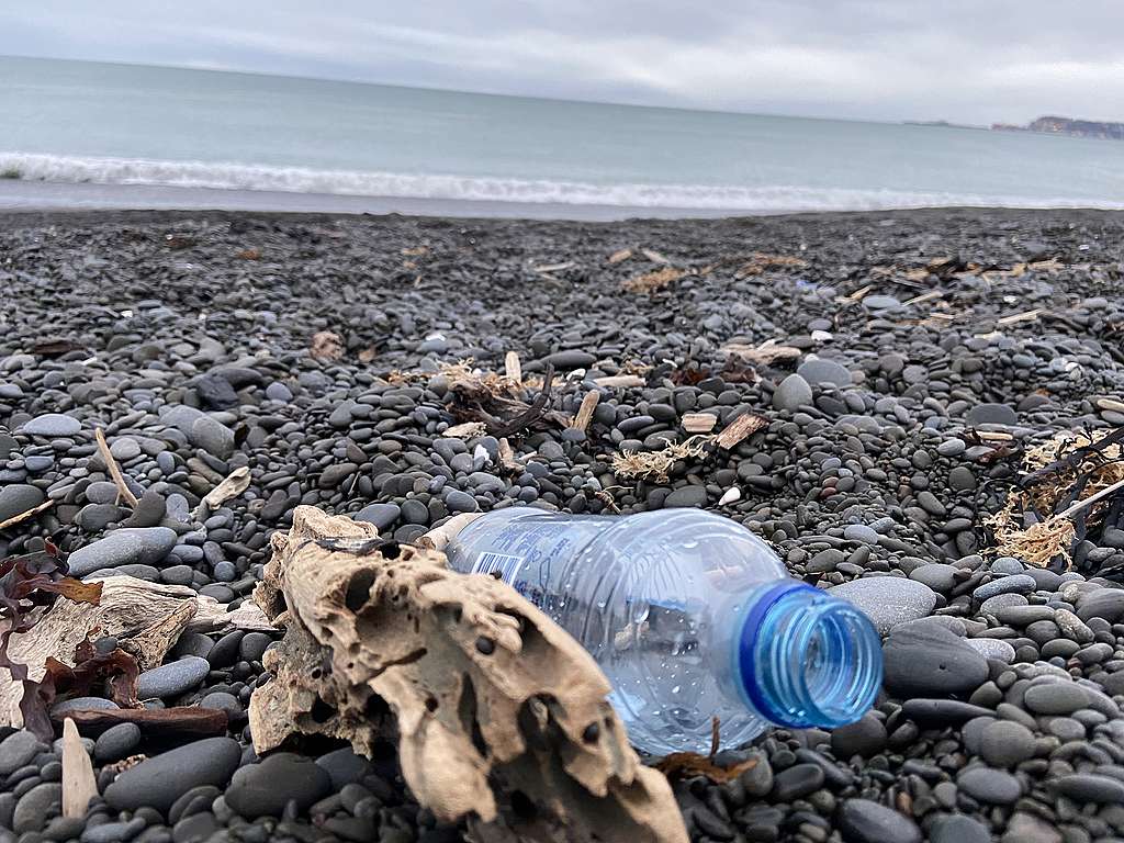 Phil Vine - Greenpeace Aotearoa