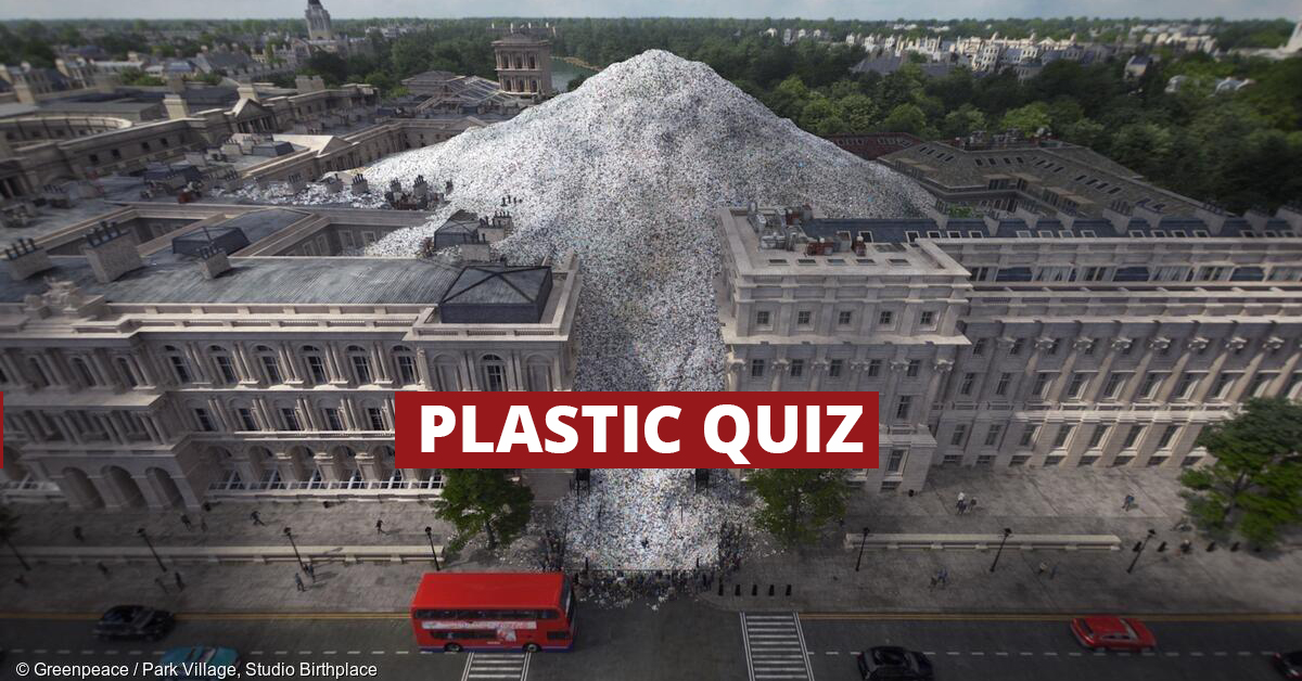 Test your knowledge with our quick plastic quiz! - Greenpeace Aotearoa