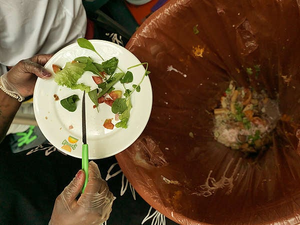 Food waste and regenerative farming: from rubbish to resource ...