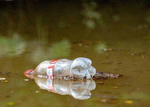 Using art to tackle the plastic pollution crisis - Greenpeace Aotearoa