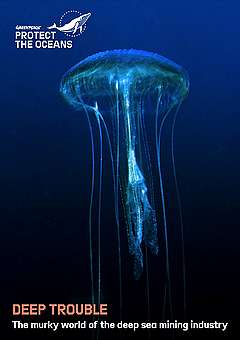 Deep Trouble: The murky world of the deep sea mining industry ...