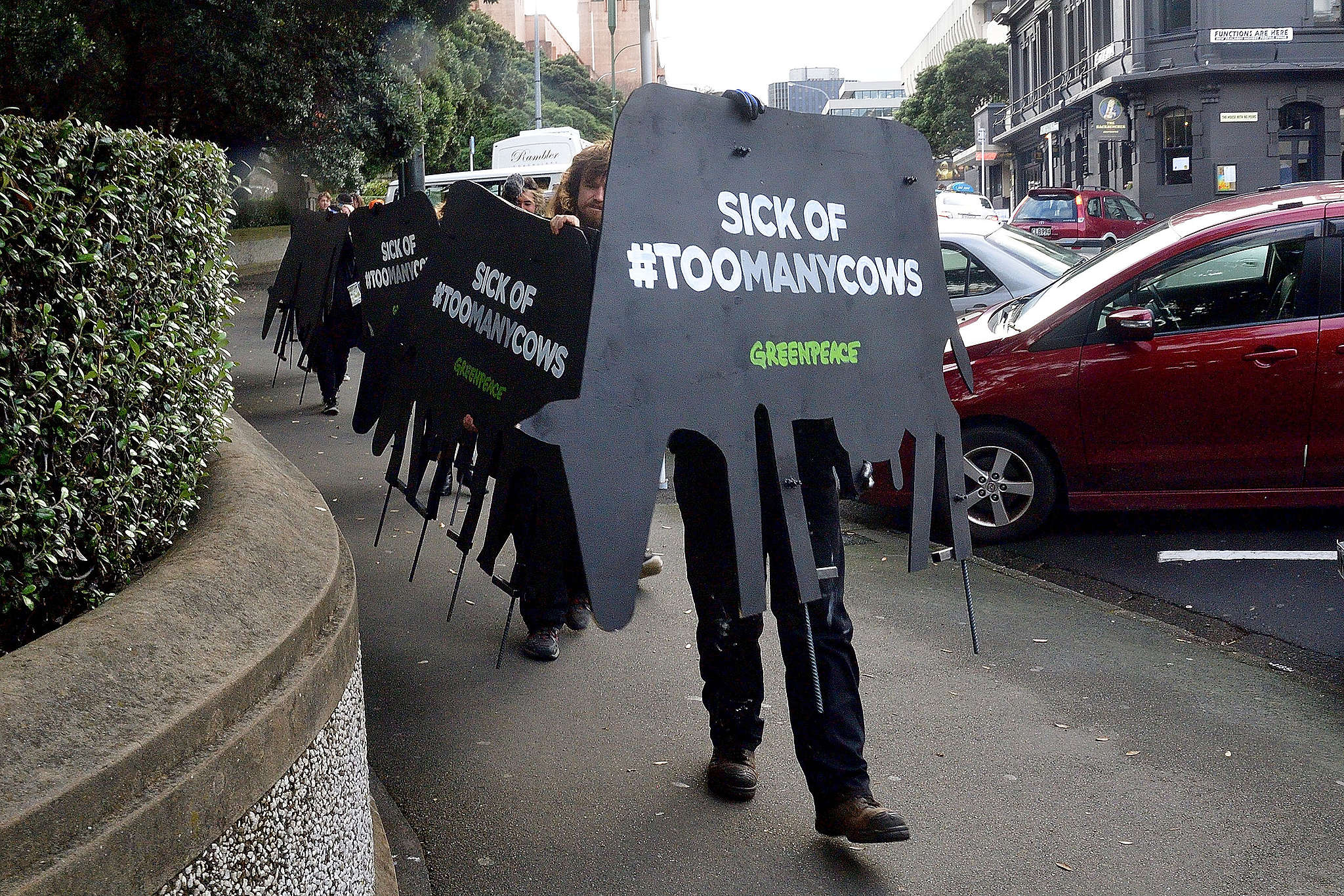 Water pollution in New Zealand - Greenpeace Aotearoa