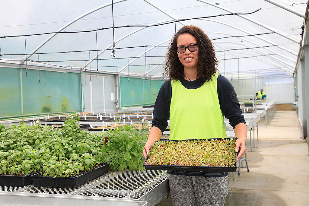 Nourishing Papatūānuku at Pourewa, Ngāti Whātua Ōrākei’s productive ...