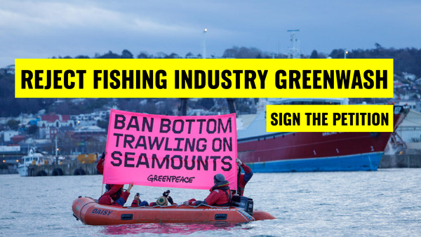 Why ocean protection can’t be left in the hands of commercial fishing ...