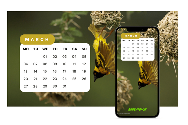08ba01e0-march-desktop-calendar - Greenpeace Aotearoa