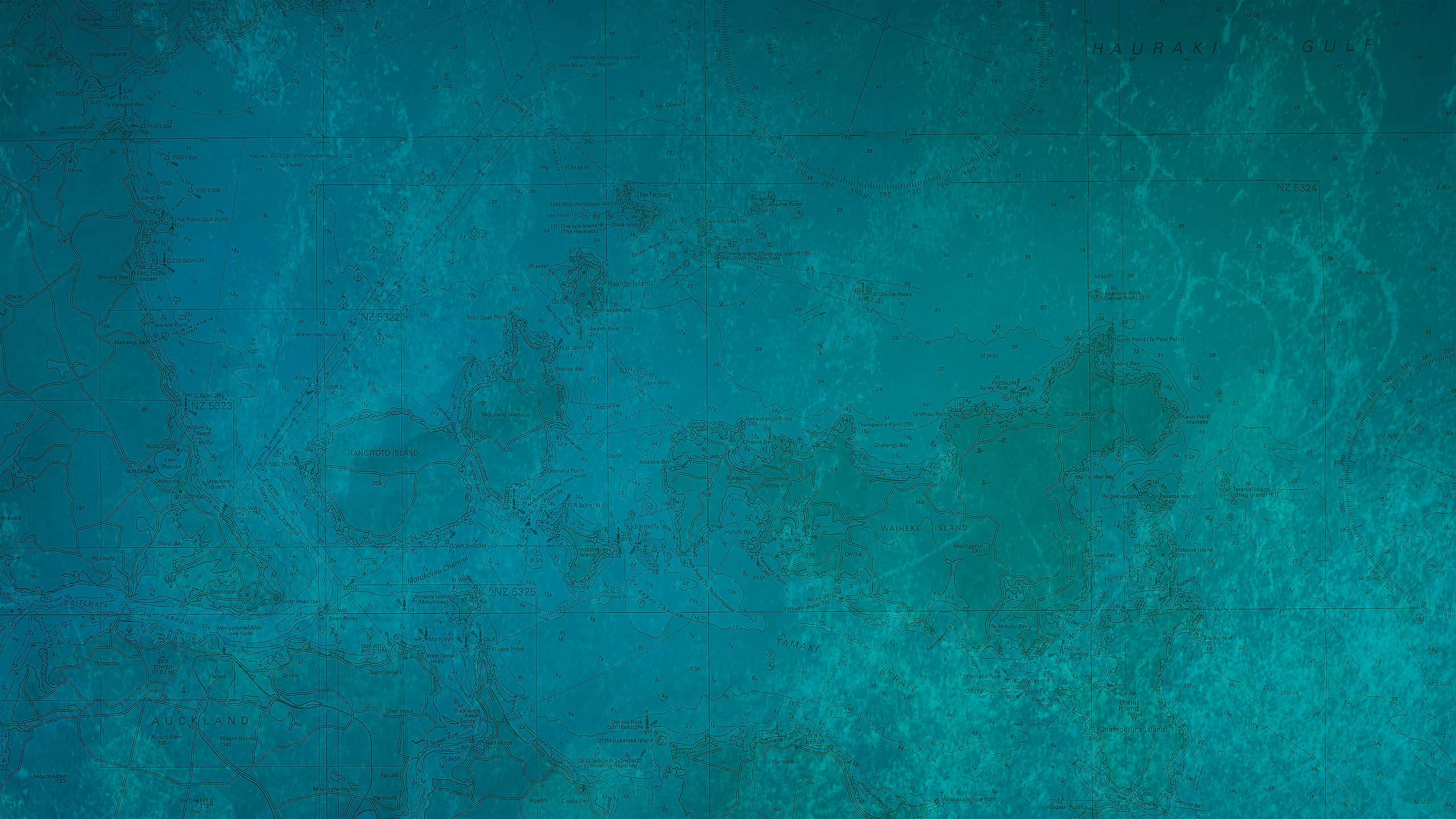 Flotilla_blank backdrop - Greenpeace Aotearoa