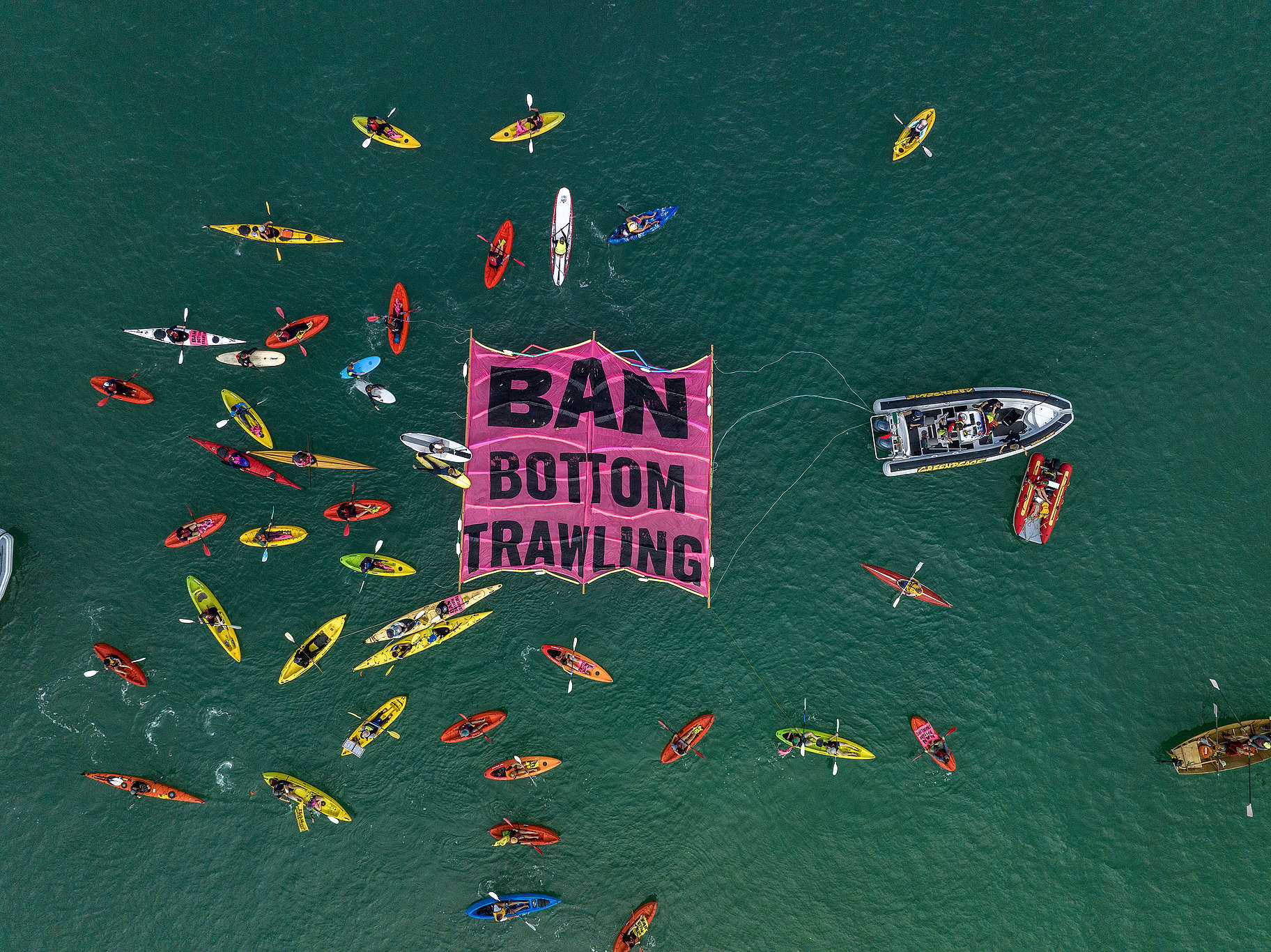 Hundreds turn out to oppose Hauraki Gulf bottom trawling - Greenpeace ...