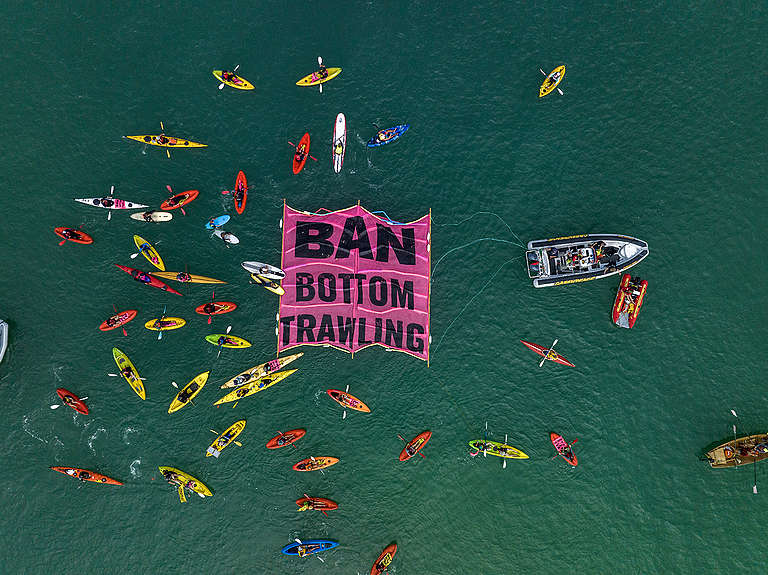 Hundreds turn out to oppose Hauraki Gulf bottom trawling - Greenpeace ...