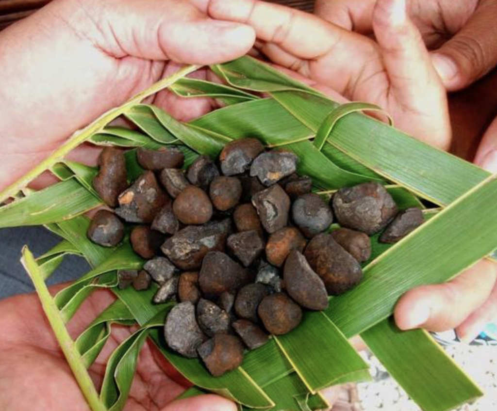 Aden Miles Morunga - Greenpeace Aotearoa