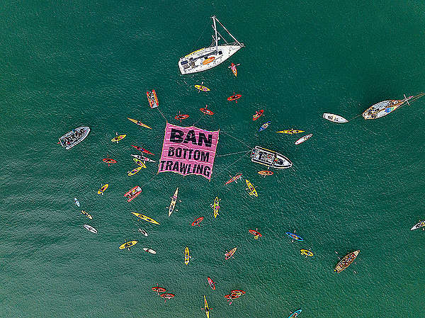 Ellie Hooper - Greenpeace Aotearoa