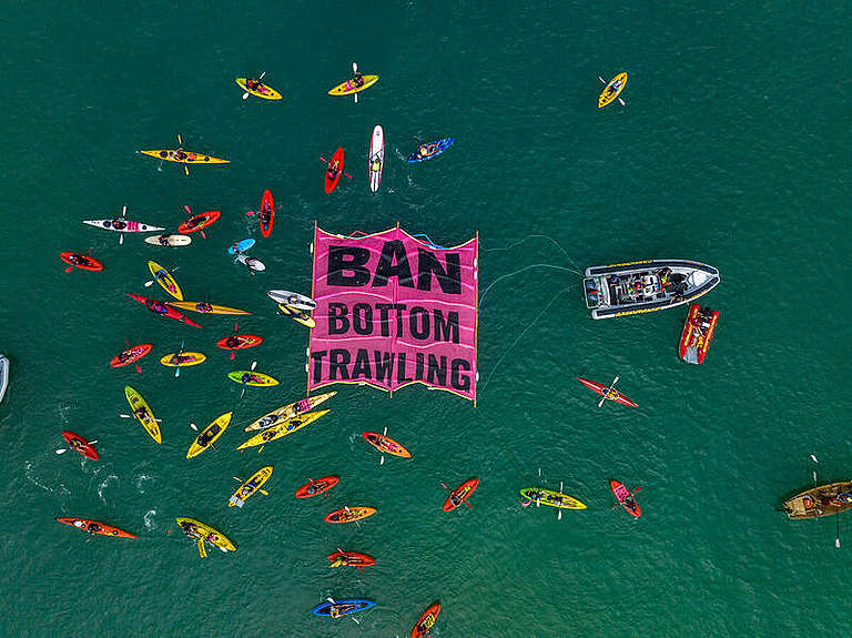 What is the draft Fisheries Industry Transformation Plan? - Greenpeace ...