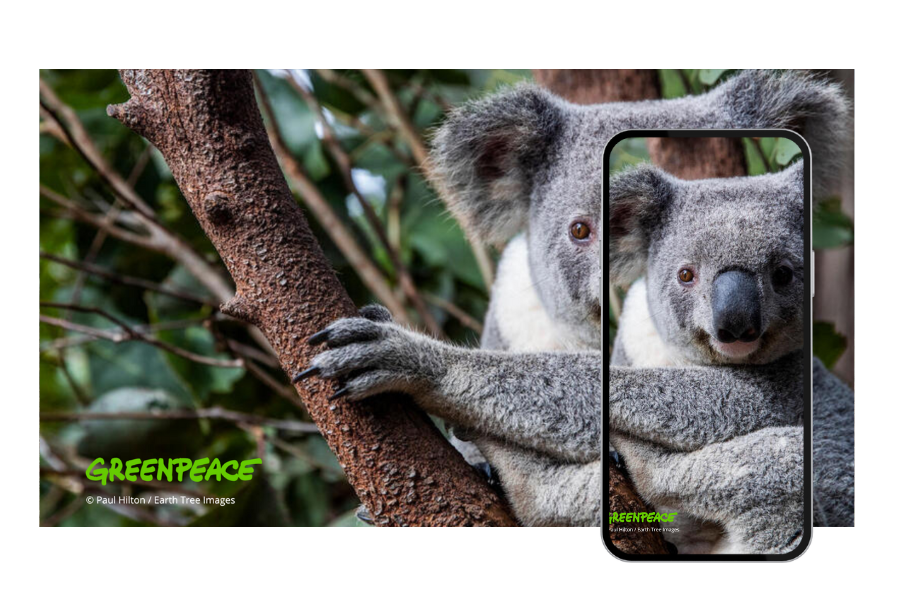 Greenpeace desktop and mobile wallpaper downloads - Greenpeace Aotearoa