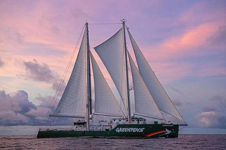 Ellie Hooper - Greenpeace Aotearoa