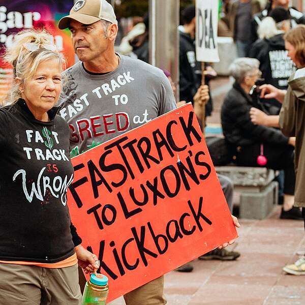Signs of resistance - Protest placards from the March for Nature ...