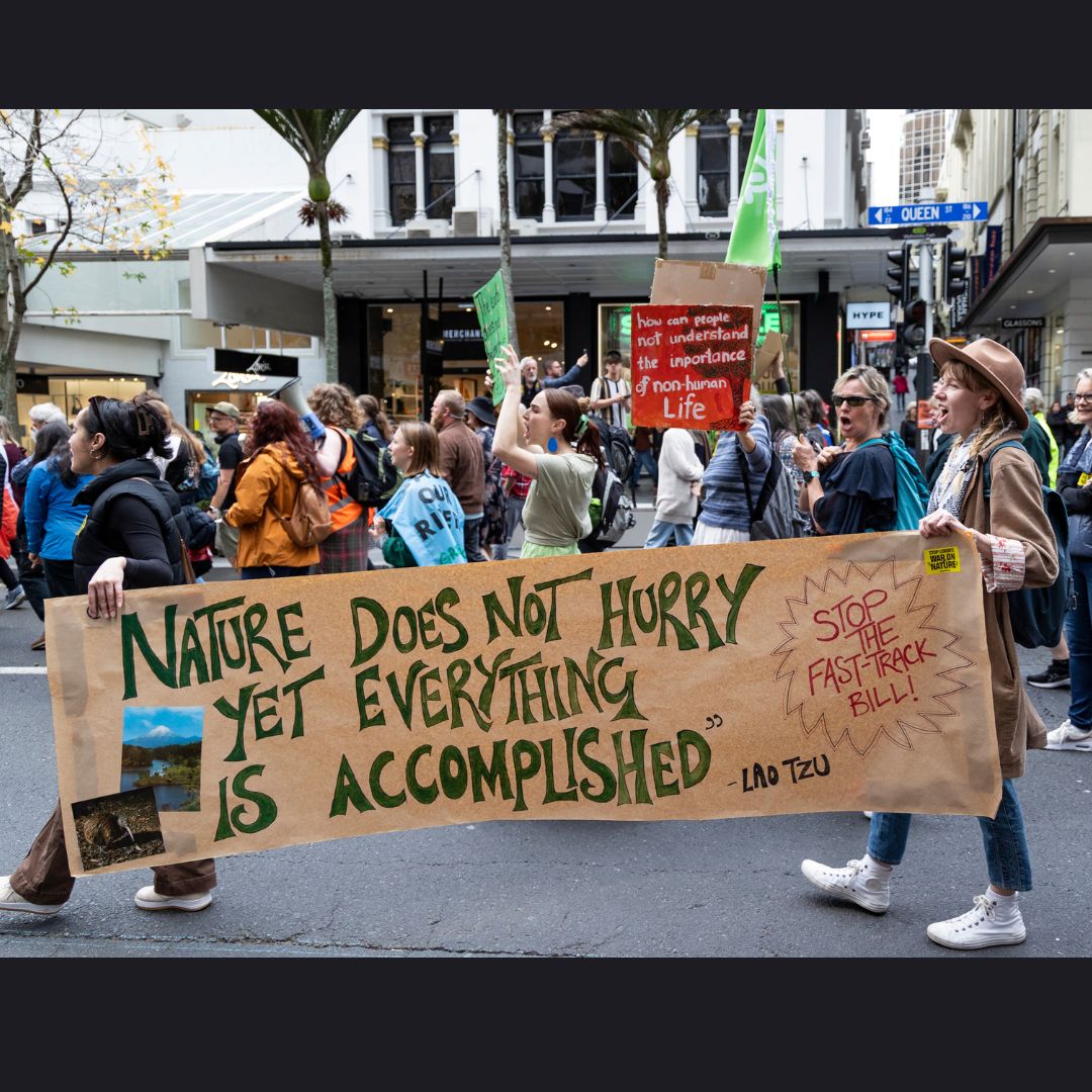 Signs of resistance - Protest placards from the March for Nature ...