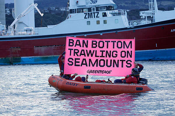 Ellie Hooper - Greenpeace Aotearoa
