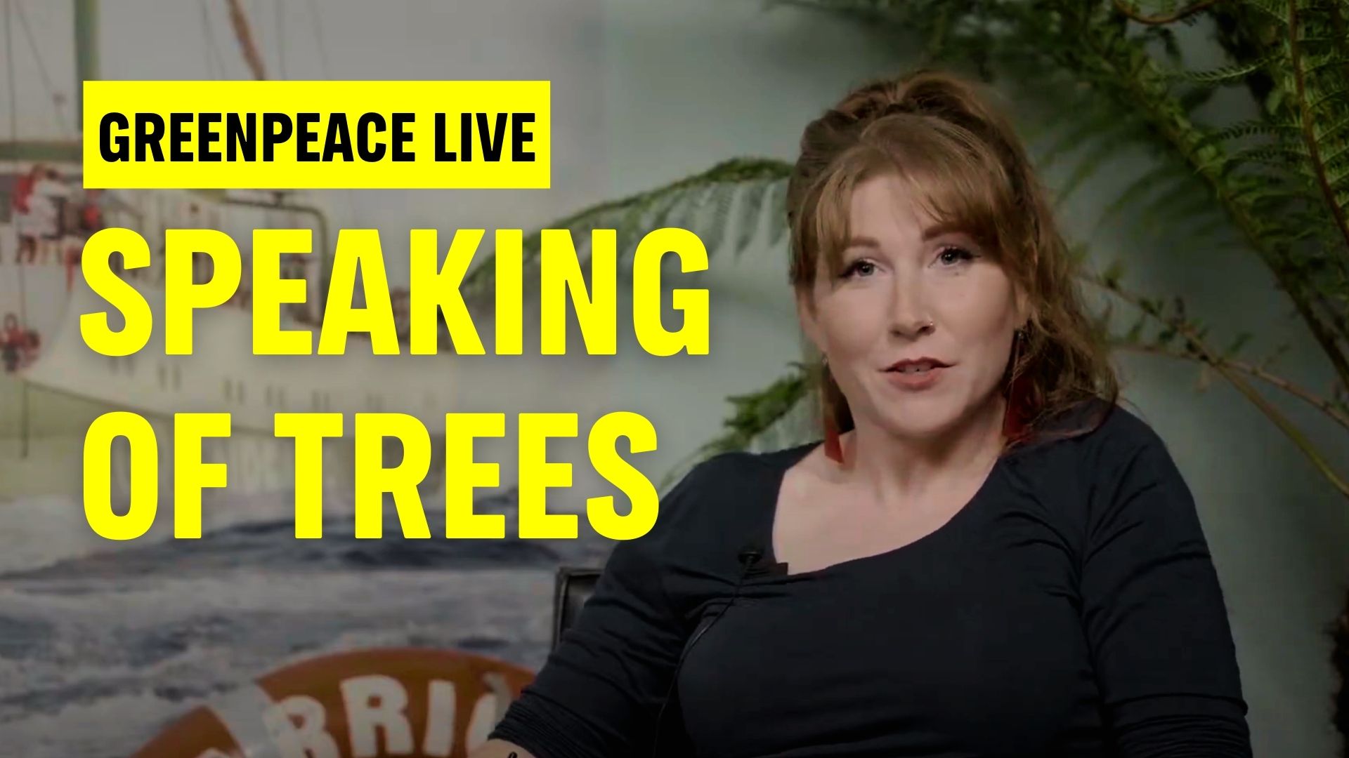 Greenpeace LIVE: Speaking of trees - Greenpeace Aotearoa