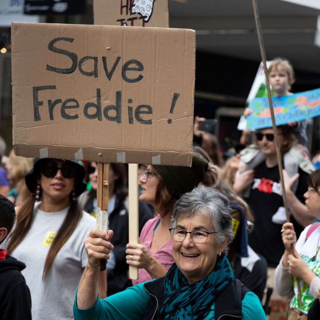 Signs of resistance - Protest placards from the March for Nature ...