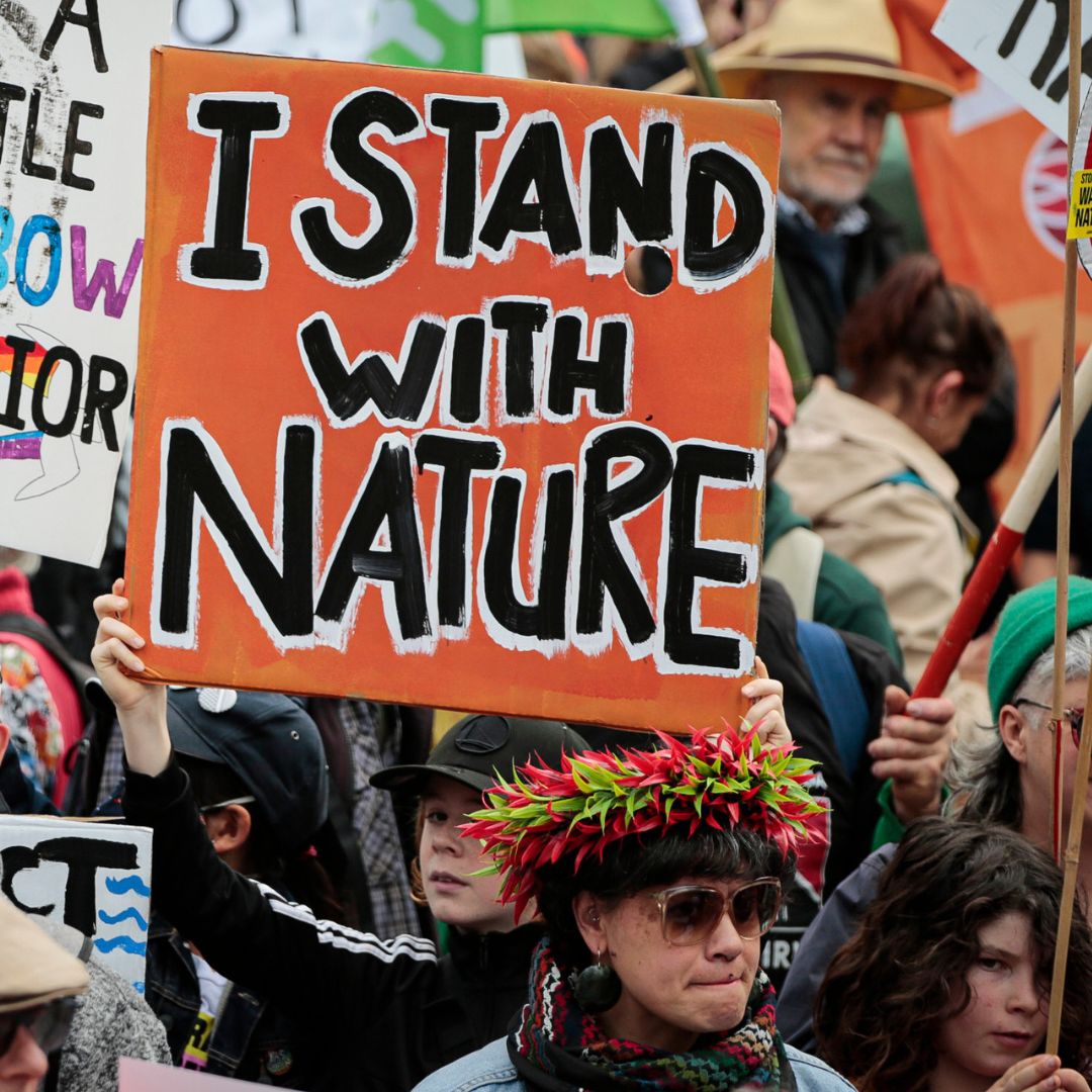 Signs of resistance - Protest placards from the March for Nature ...