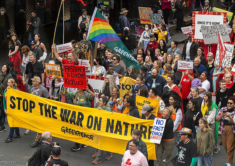 The fast-track approvals bill: what’s the problem? UPDATED - Greenpeace ...