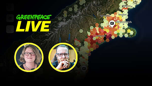 Water pollution in New Zealand - Greenpeace Aotearoa