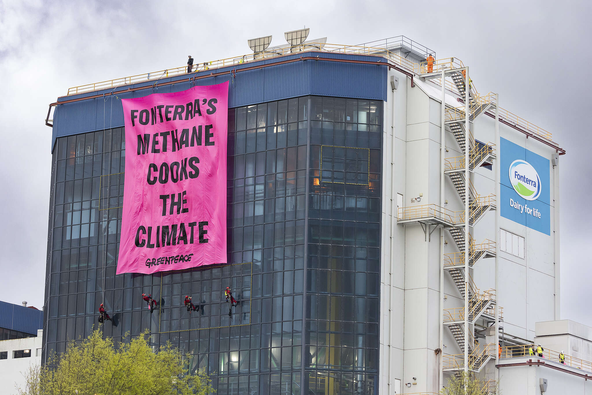 Is New Zealand dairy farming the most efficient in the world ...