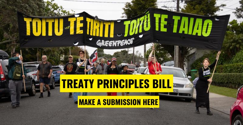 Treaty principles bill submission guide and why you should speak up ...