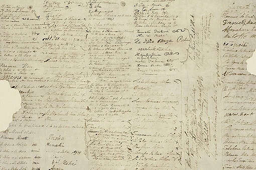 The Treaty principles bill submission guide and why you should speak up ...