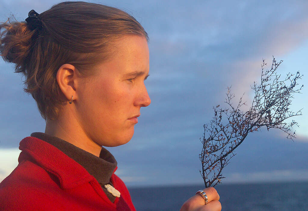 50 years of making waves to put hope into action - Greenpeace Aotearoa