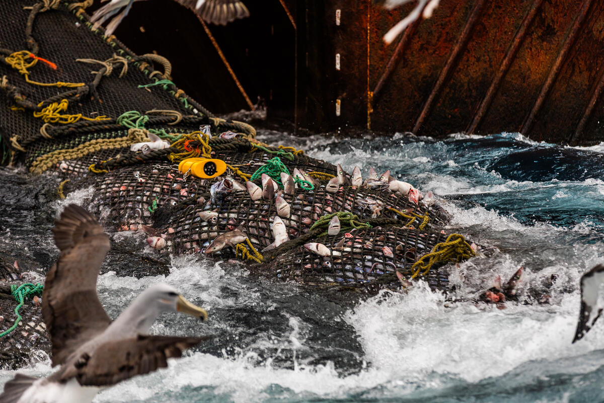 Greenpeace activists rebrand NZ bottom trawler “ocean killer” at sea ...