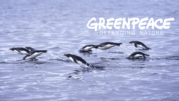 Defending Nature - Greenpeace Aotearoa