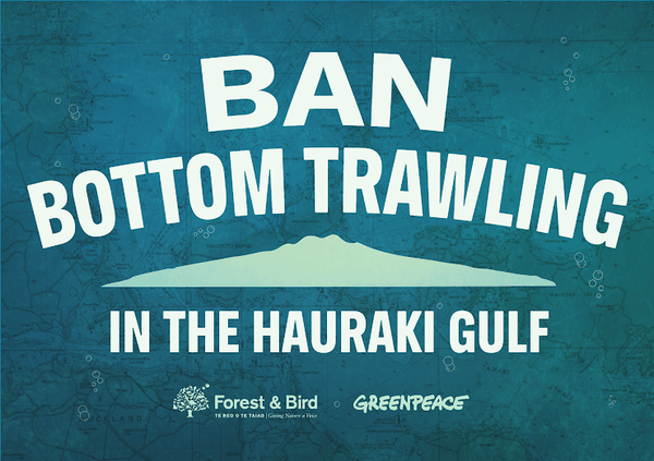 Ban bottom trawling in the Hauraki Gulf - Greenpeace Aotearoa