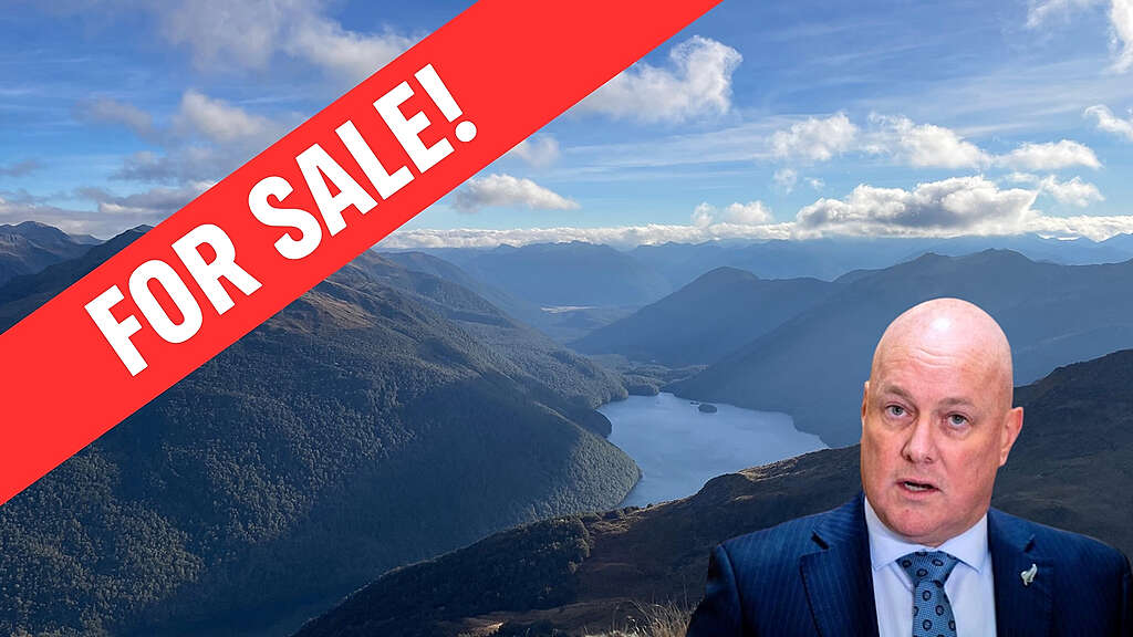 Save the Conservation Act - Greenpeace Aotearoa