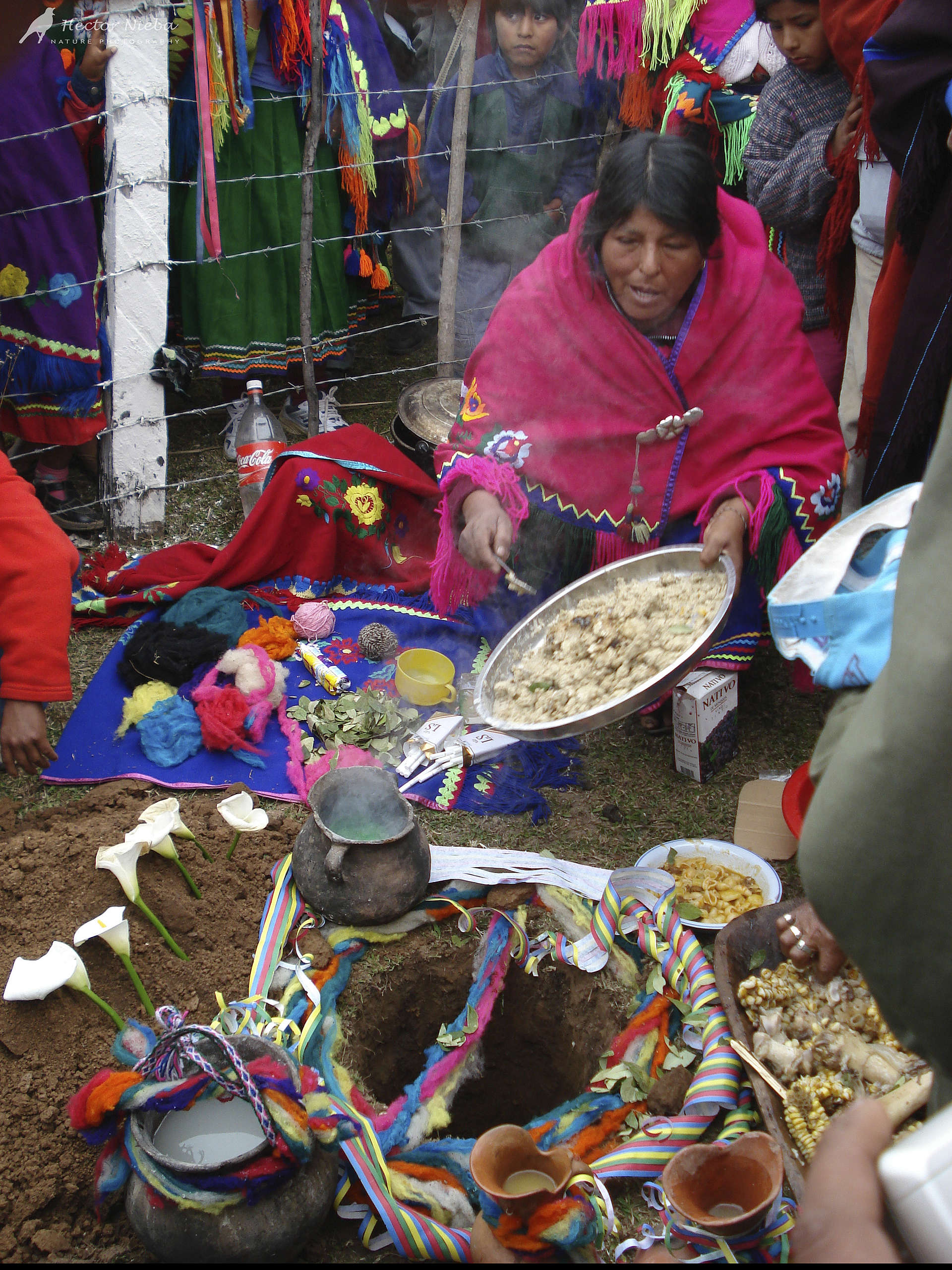 Fundación Greenpeace Argentina | Día de la Pachamama: “Es nuestra madre ...