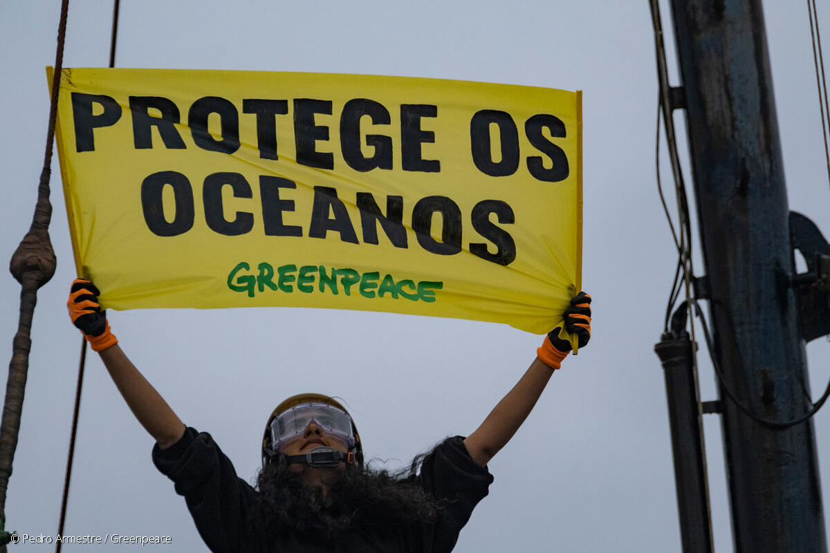 Fundación Greenpeace Argentina AcciÓn Activistas De Greenpeace