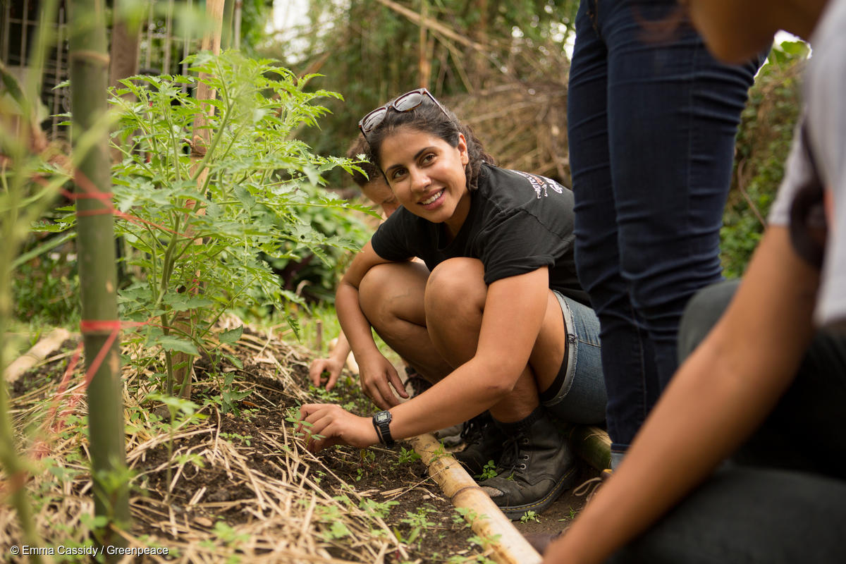 Fundación Greenpeace Argentina | 5 metas sustentables para 2023